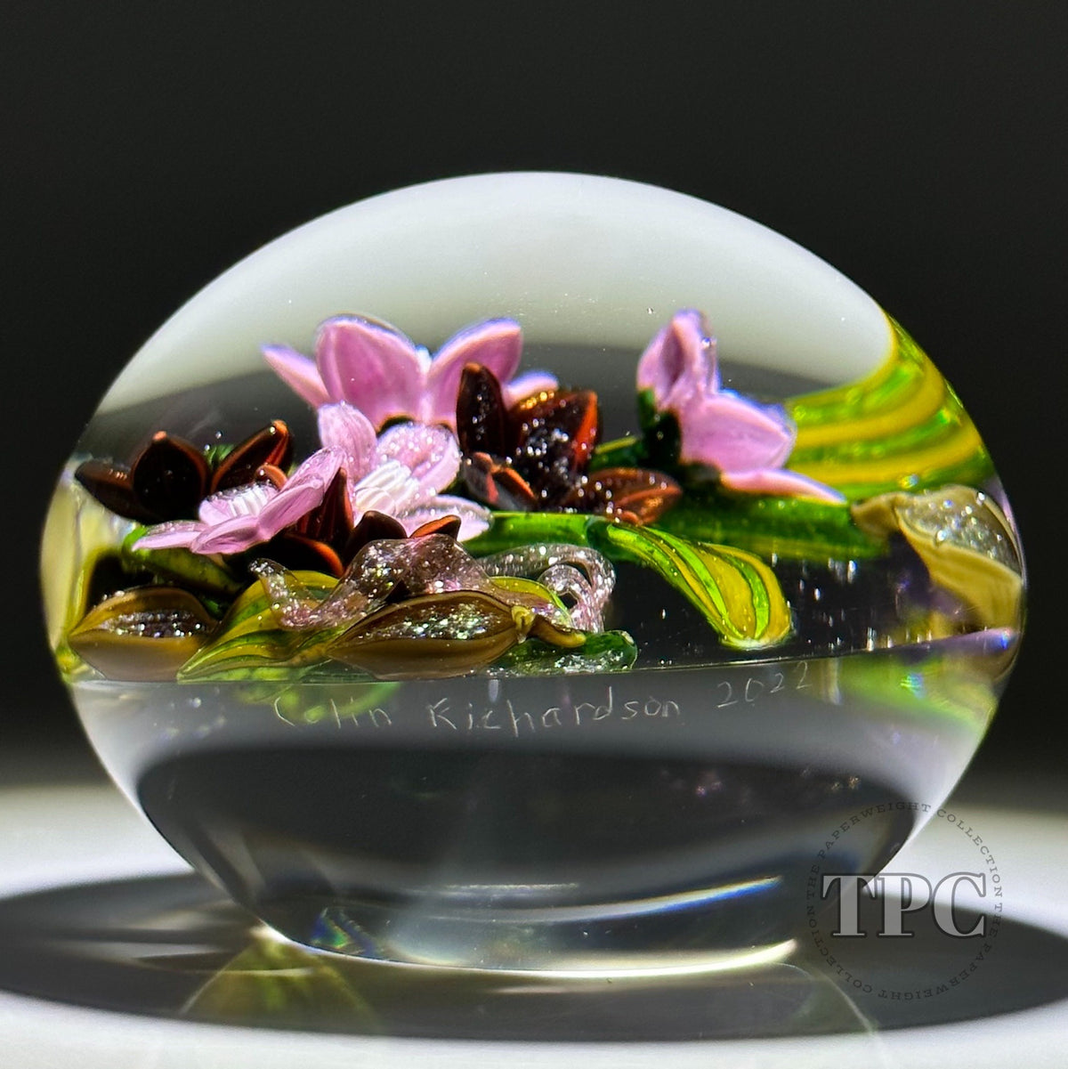 Colin Richardson 2022 Glass Art Paperweight Flamework Pink Dichroic Cr