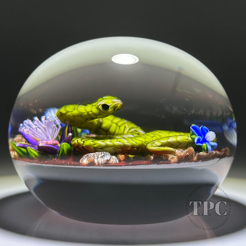Ken Rosenfeld 2023 Glass Art Paperweight Flamework Green Scaled Snake