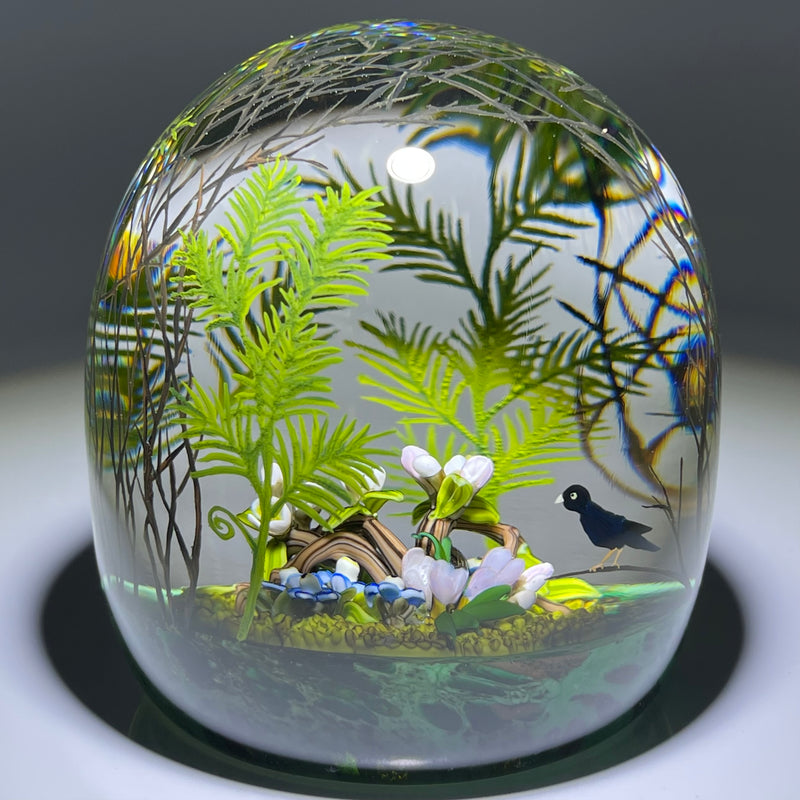 Cathy Richardson & Alison Ruzsa 2021 "The Bower Bird" Encapsulated Fla