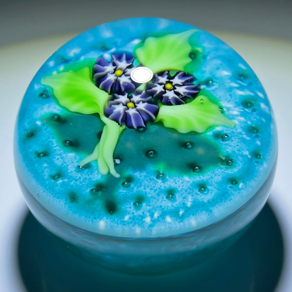 Signed Chris Sherwin 2019 Miniature Millefiori Nosegay on Teal Bubble