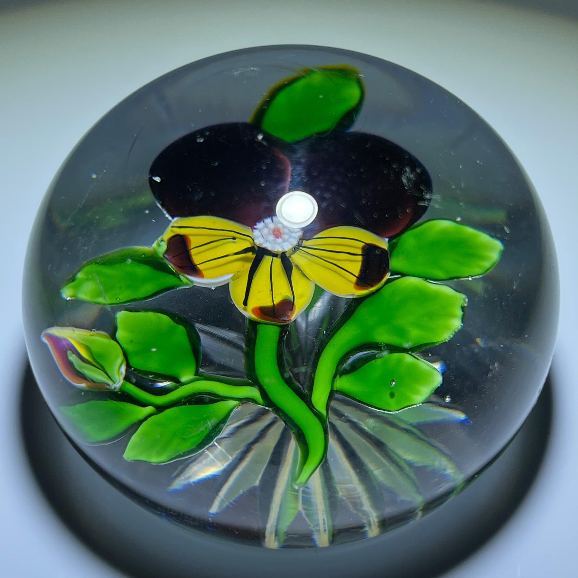 Antique Baccarat Art Glass Paperweight Lampwork Pansy on Clear Ground